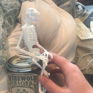 Dead Imp Skeleton 3D Print Taxidermy Sculpture | Etsy