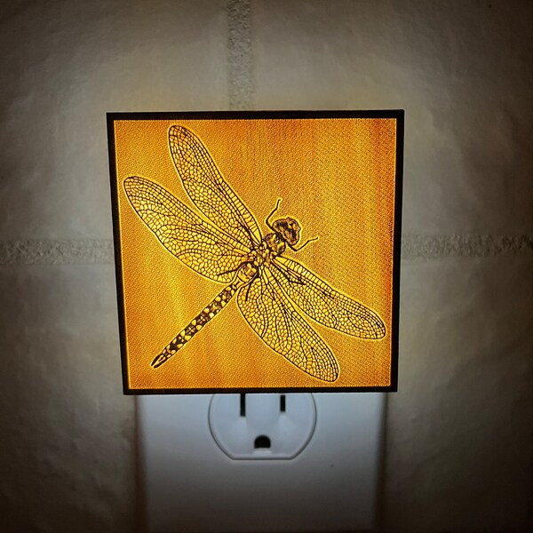 Dragonfly Night-light, Wall Art, Bug, Insect Lamp - Etsy