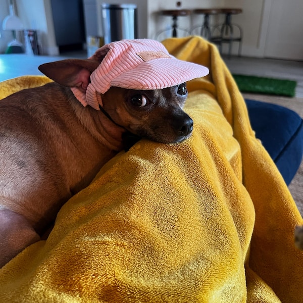 Corduroy Dog Hat | Bucket Hat | Puppy Hat | Dog Visor | Sun Protection ...