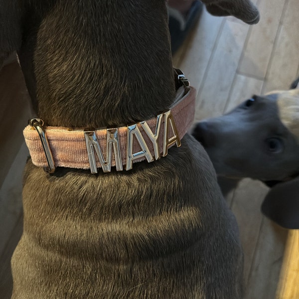 Personalized Dog Collars With Metal Letter Name, Female Dog Collars ...
