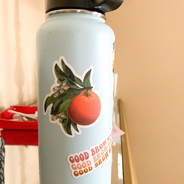Orange Blossom Sticker, VSCO Vinyl Stickers Laptop, Retro Bumper Decals ...