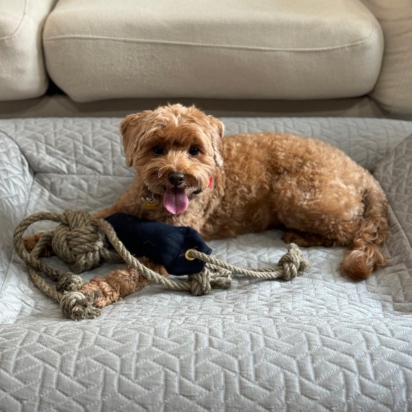 Pet Care Binder Printable Dog Organizer Pet Health Record Puppy ...