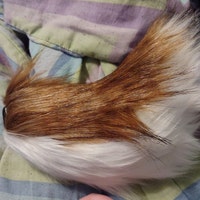 Deer Antlers, Ears, Tail Sweet Tooth 55 Color Options - Etsy Canada