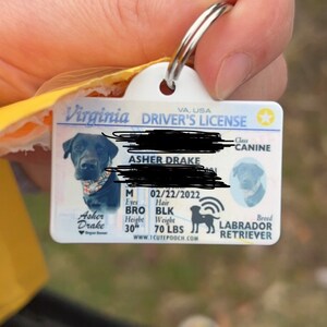 Texas Driver Dog Id Tag Personalized License Durable Dog Tag - Etsy