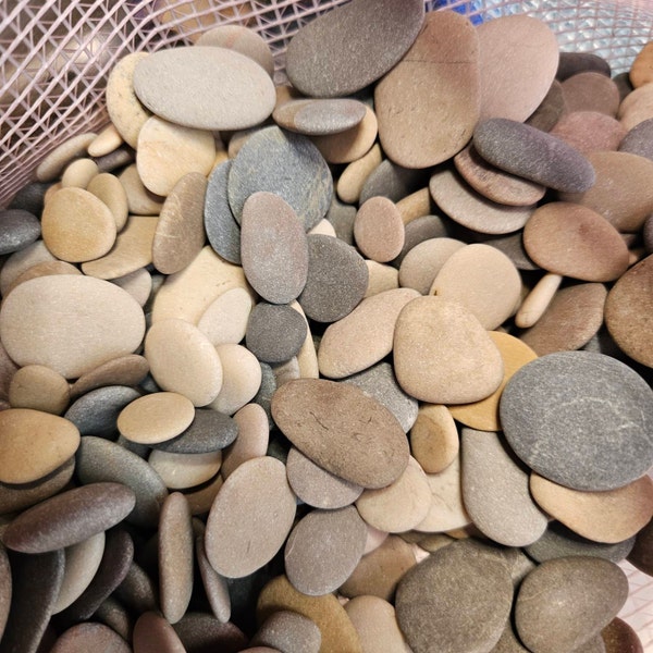 Bulk of 200/300 Tiny Pebbles, Flat & Colorful Genuine Beach Stones ...