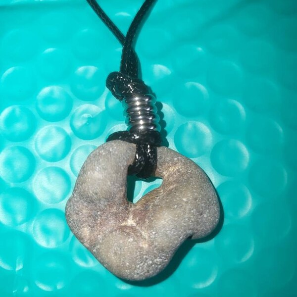 Coquina Shell Butterfly Necklace, Shell Necklace, Butterfly Necklace ...