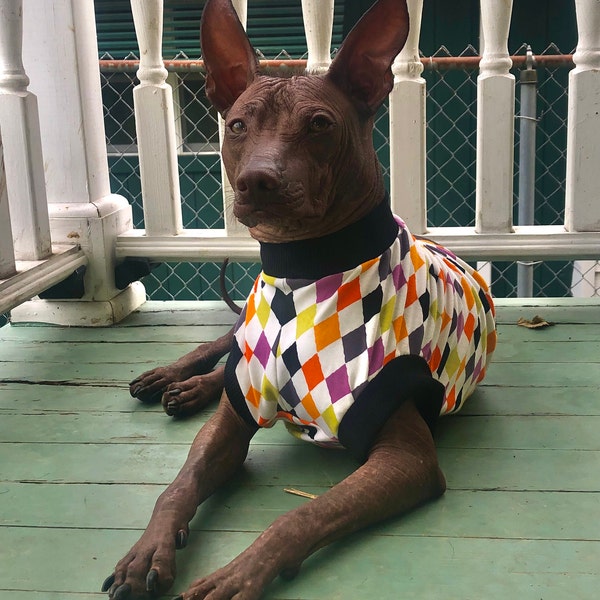 Italian Greyhound Sun Hats & Matching Tops - Etsy