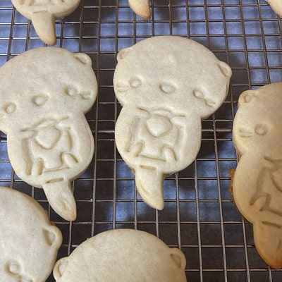 Sea Otter Cookie Cutter, Otterly Cute, Happy Otters Biscuit, Kids Party ...