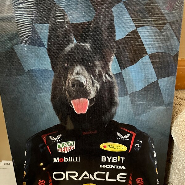 Red Ball, Formula Racing Car, F1 Driver Team Pet Portrait, Custom Dog ...