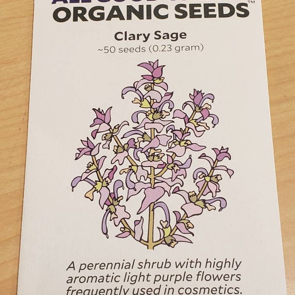 Clary Sage Seeds (~50): Certified Organic, Non-gmo, Open Pollinated ...