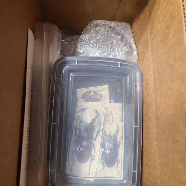 Complete Beetle Mounting Kit - Beetle Spreading and Pinning Kit ...