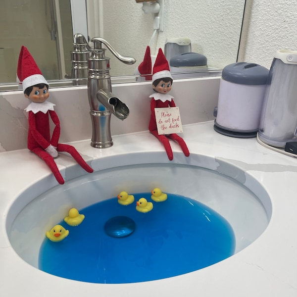 Christmas Elf Don’t Feed the Ducks Prop, Christmas Elf Kit, Holiday Elf ...