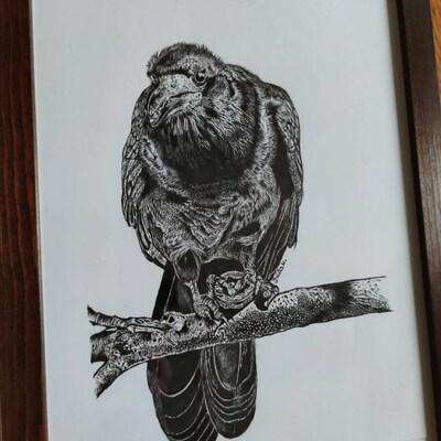 The Philippine Eagle Original Ink Drawing, Wall Decor Bird Portrait ...