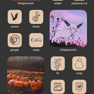 10000 Ios 17 Neutral App Icons Boho Fall Aesthetic Widget - Etsy UK