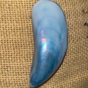 Herbology Starter Kit Guide - Etsy