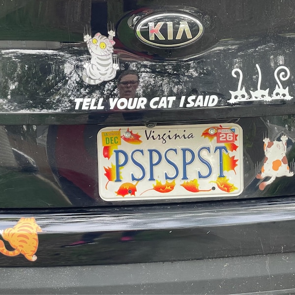 Cute Cartoon Cat Car Sticker, Funny Cat Scratch Decals, Custom ...