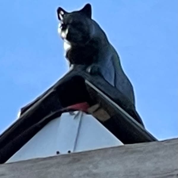 Cat Angled Roof Finial - Etsy