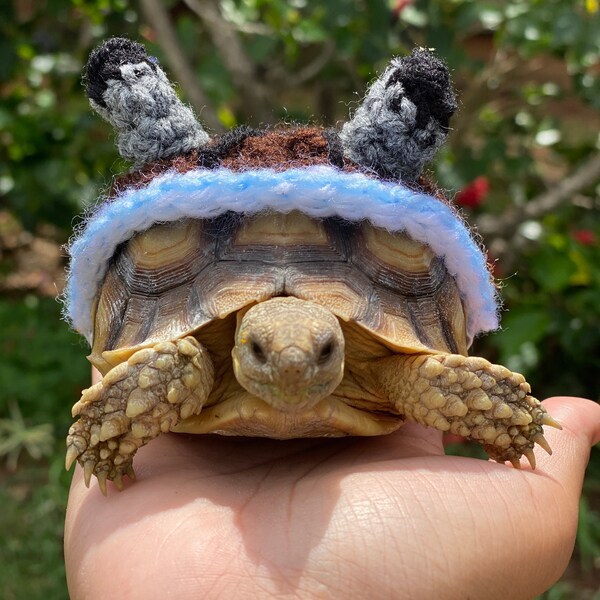 Blastoise Inspired Costume for Turtle/tortoises - Etsy