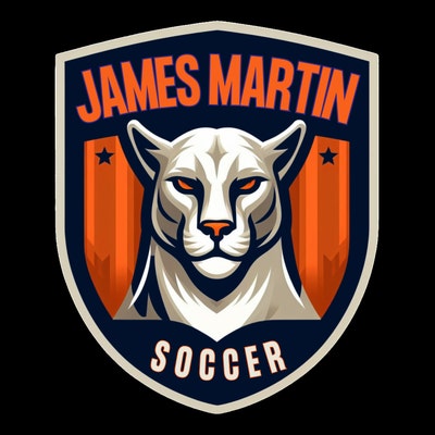 Winged Baseball Logo & Name in Font Personalized Team Mascot Team Name ...