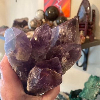 Old Stock: Agate Fossilized Coral Specimen From Tampa Florida - Etsy