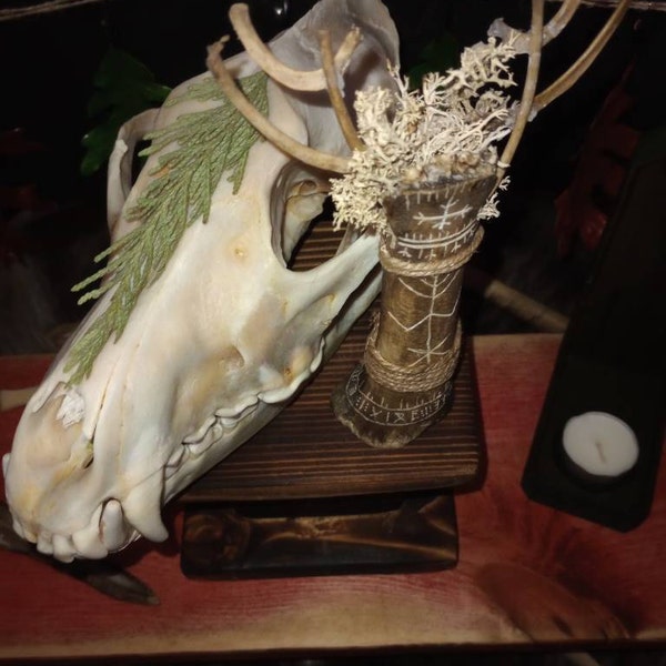 Made to Order: Sigil Deer Jawbone Hangers - Etsy