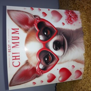 Robin Bird Birthday Greeting Card - Etsy UK