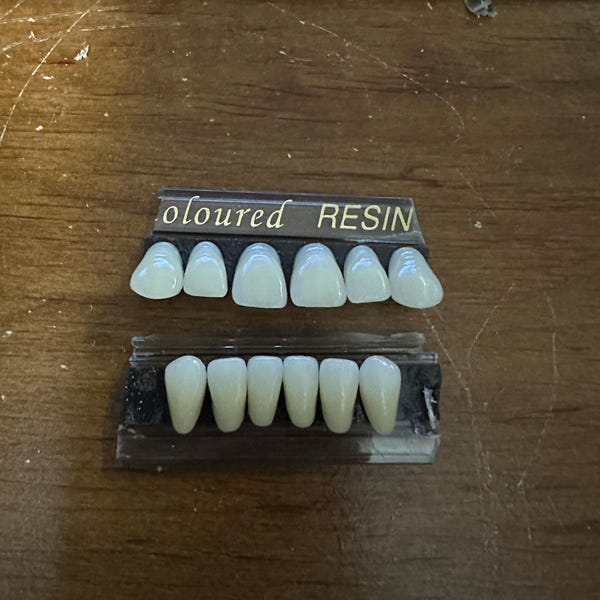 Full Set Resin Human Style Teeth, Teeth, Dentures, Craft Supplies ...