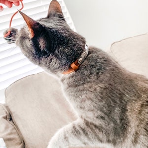 Customized Leather Cat Collar Personalized Soft Padded | Etsy