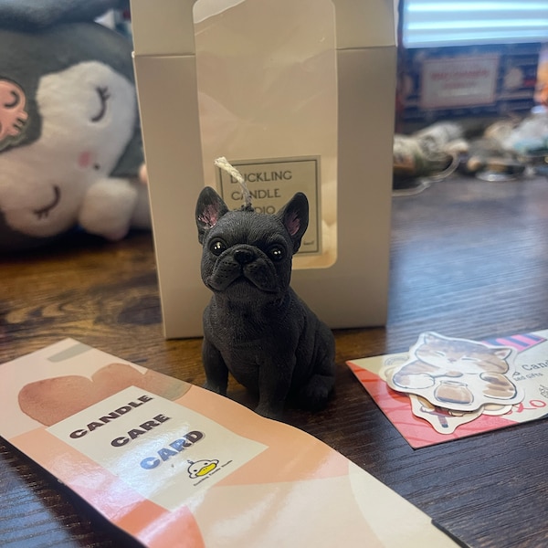 Sand Wax DIY Candle Kit| Scented Sand Wax|colored Pastel Sand Wax|eco ...