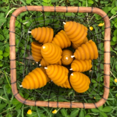 Swarm Trap for Honey Bees, Cone Trap, Swarm Lure, Lemongrass Essential ...