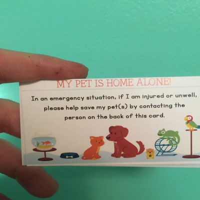Pet Emergency Card in Case of Emergency Set of 5 Contact Cards - Etsy