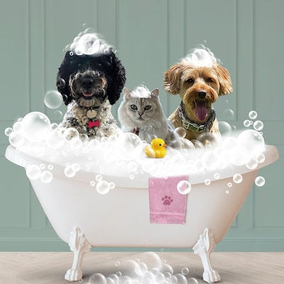 Two Pets in Bathtub Custom Pet Portrait From Photo, Combine Pet Photo ...
