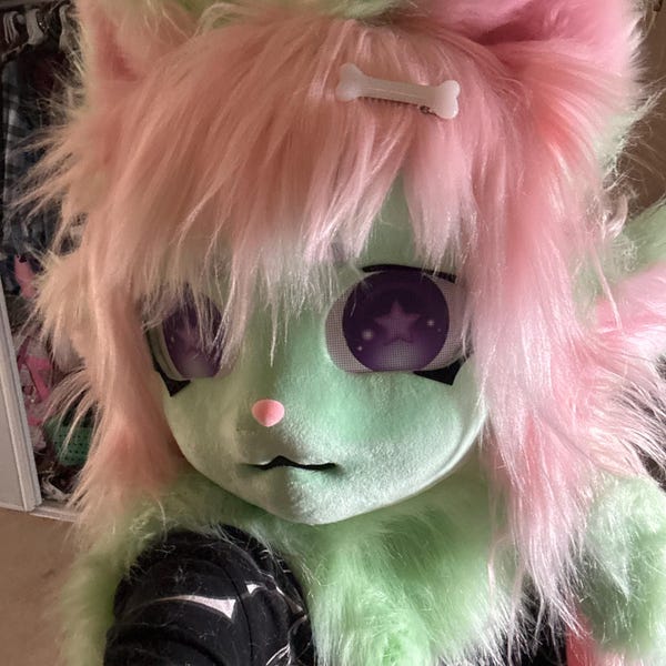 Cosplay Furry Paws, Fursuit Paws Set, Furry Gloves and Shoes for Furry ...