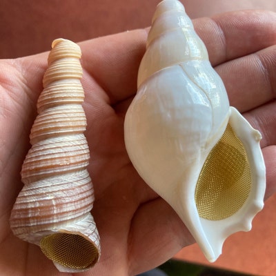 The Magic Conch Large Size White by Shellpipe free Pipe & Screens W ...