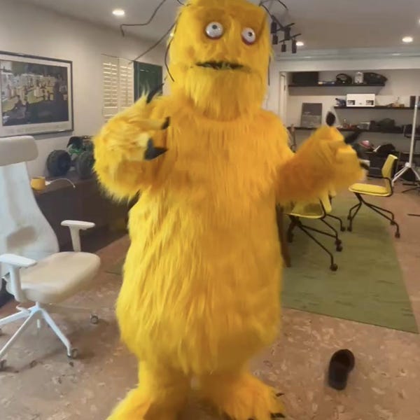 Custom Life-size Mascot Costume: Handmade Plush Character Suit - Etsy