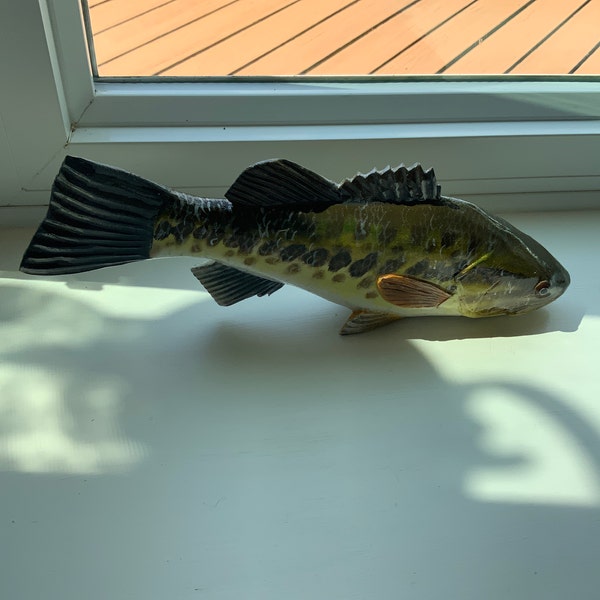 Speckled Pavon, Cichla Temensis, Peacock Cichlid, Tucunare Pinima, 9-12 ...
