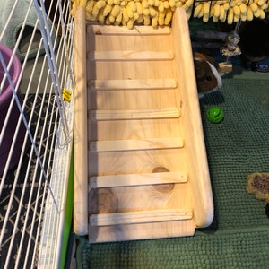 INDOOR Guinea Pig Ramp, Rabbit Ramp, Hedgehog Ramp With Sides Option 5. ...