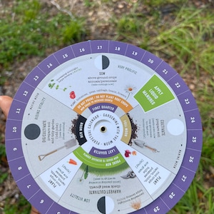 DIGITAL DOWNLOAD Portable Pendulum Board LIGHT - Etsy