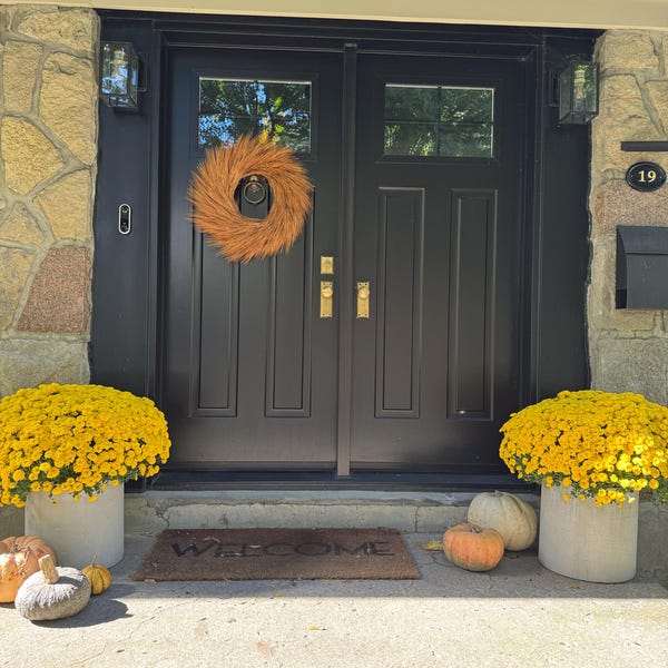 16" Light Pink Billy Buttons, Pink Dried Craspedia, Pink Billy Balls ...