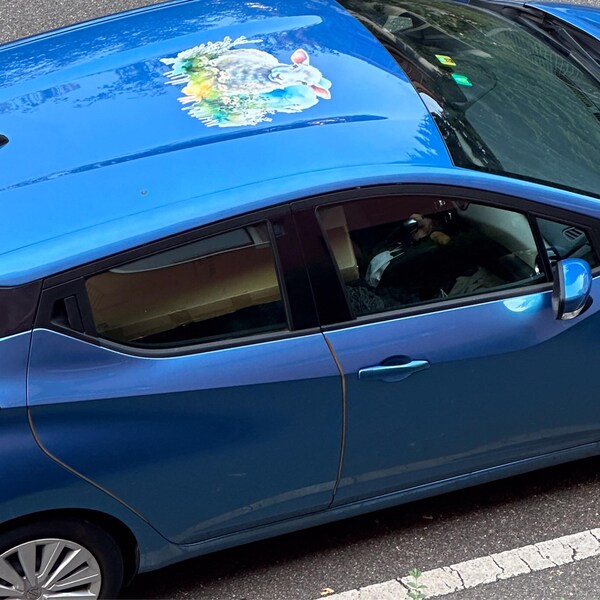 Car Sticker Ladybug Sticker Weatherproof Outdoor Uv-resistant Vinyl ...