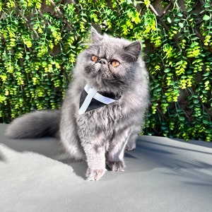 Boxed Set of Cornish Christmas Tree Decorations - Etsy UK