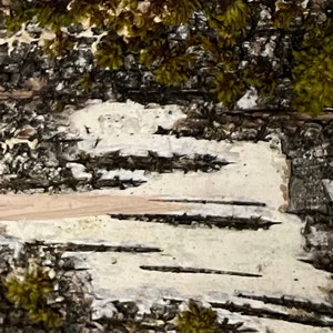 Birch Bark Digital Download 5 Birch Bark Paper Images DIY Craft Image ...