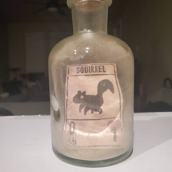 INSCRYPTION Keychain Card in a Bottle Squirrel Black Goat Boulder ...