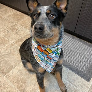 Concha Dog Squeaky Toy Concha Toy Mexican Sweet Bread Toy | Etsy