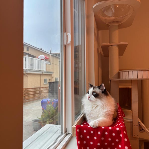 Wooden Cross | LED Wooden Cross Wall Decor | Christian Home Decor ...