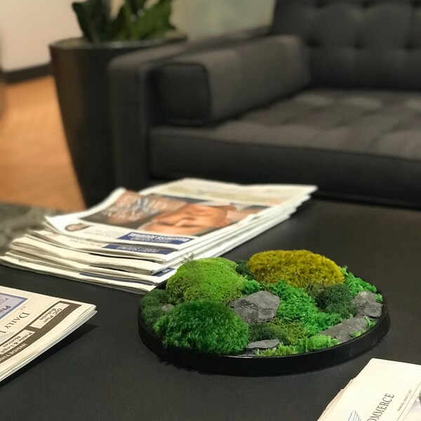 Moss Zen Garden Terrarium Cube; DYI Kit With Preserved Moss (so Not ...