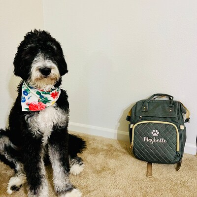 Personalized Pet Tote Backpack Pet Bag Personalized Dog Bag ...