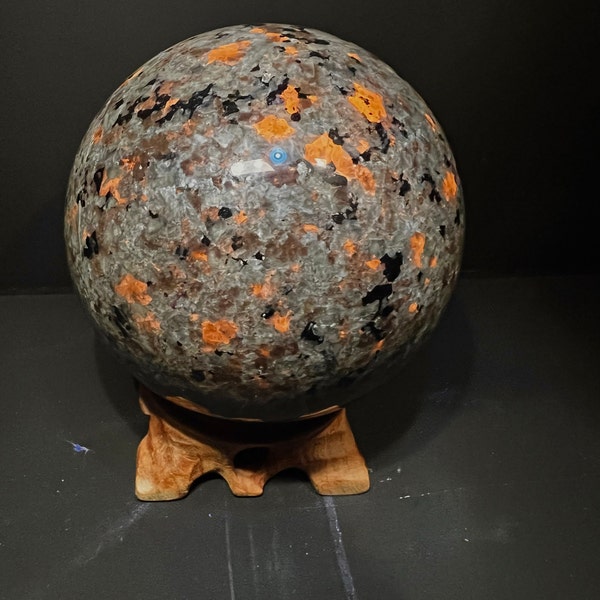 Awesome Jasper T-rex Skull, With the Coolest Patterns - Etsy