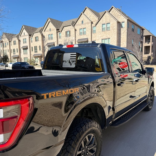 Fits 2015-2020 Chevy Tahoe Rear Side Windows Punisher Distressed ...