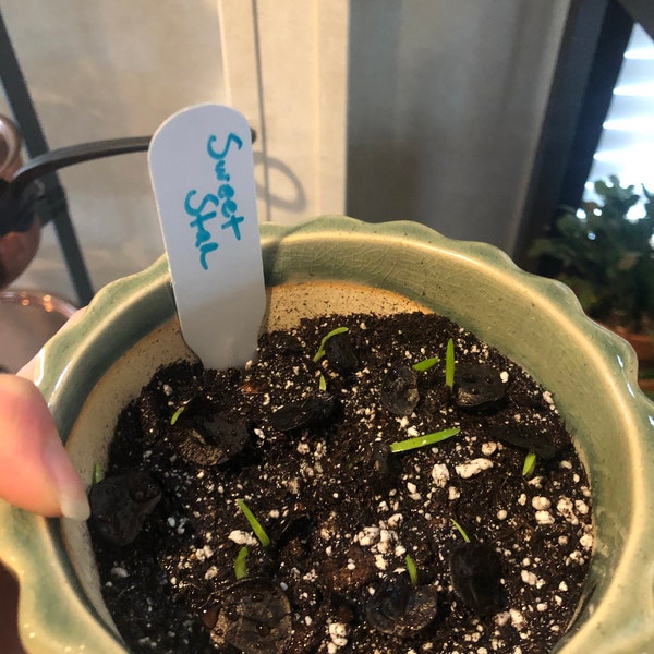 Vogue 1627: Designer Caftan Pattern, Sizes X-small, Small, and Medium ...